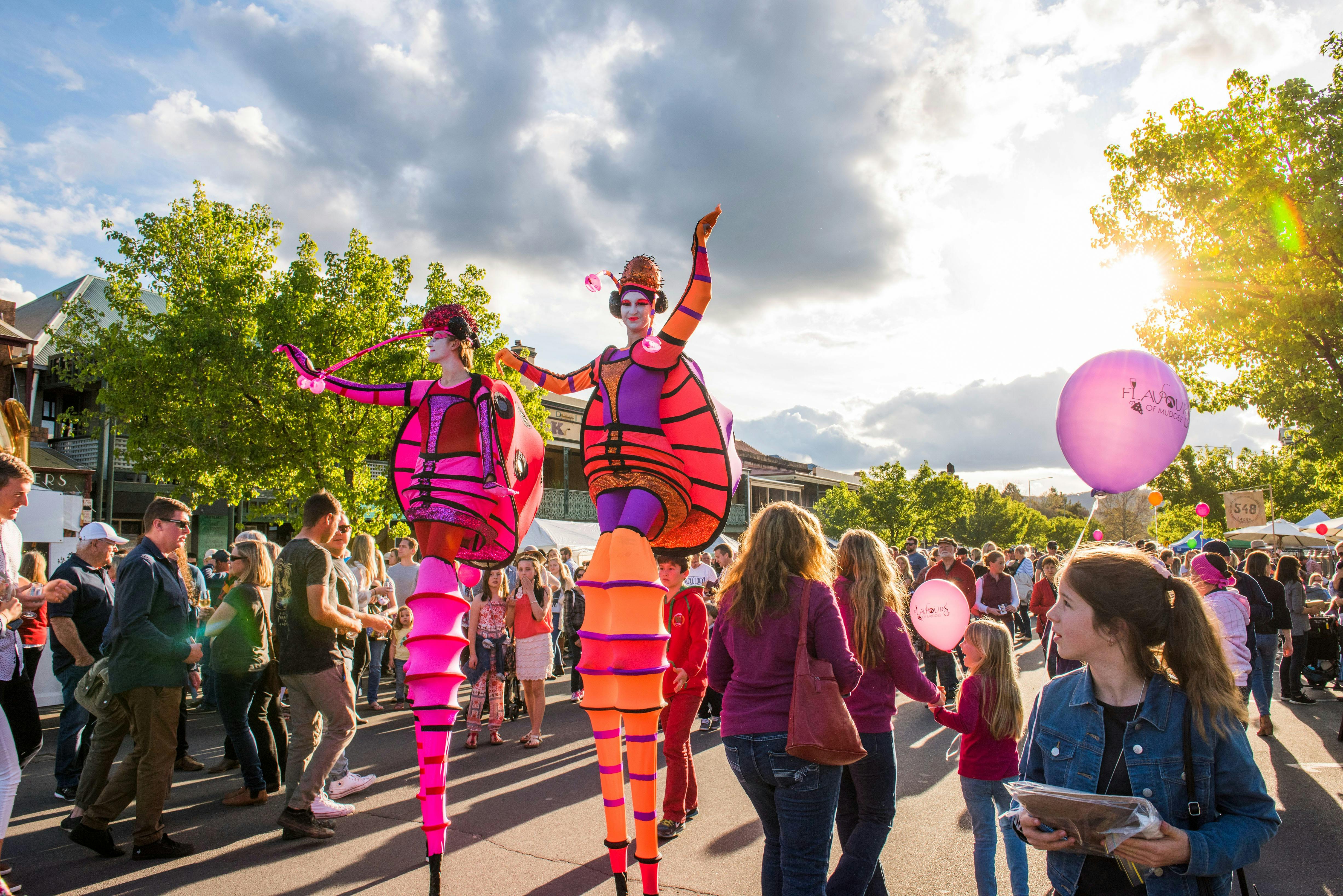 Mudgee Observatory | NSW Holidays & Accommodation, Things to Do ...