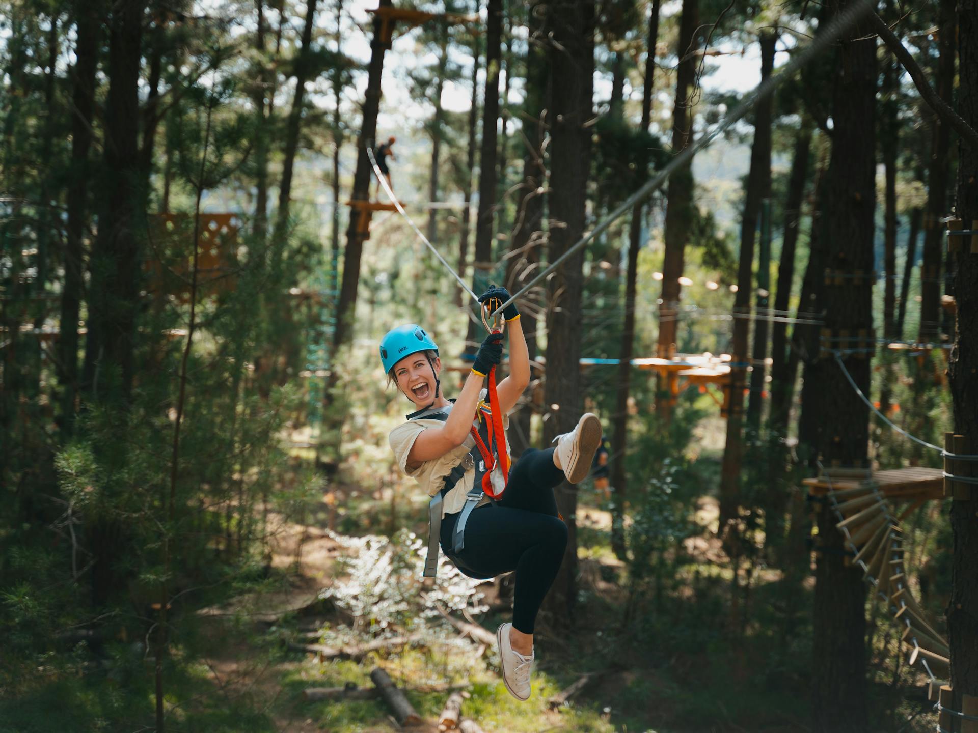 Treetops Adventure Canberra in Majura - The Fold: Your Guide to ...