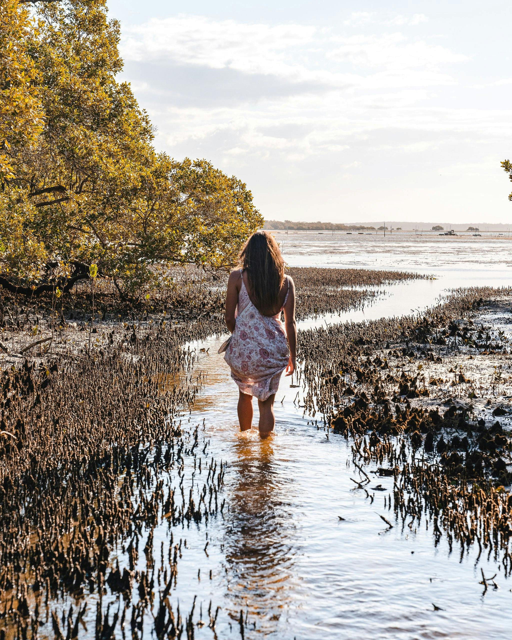 Queensland Day Tours