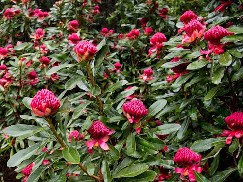 Blue Mountains Sydney - Find a Blue Mountains Tour, Spa & Retreat