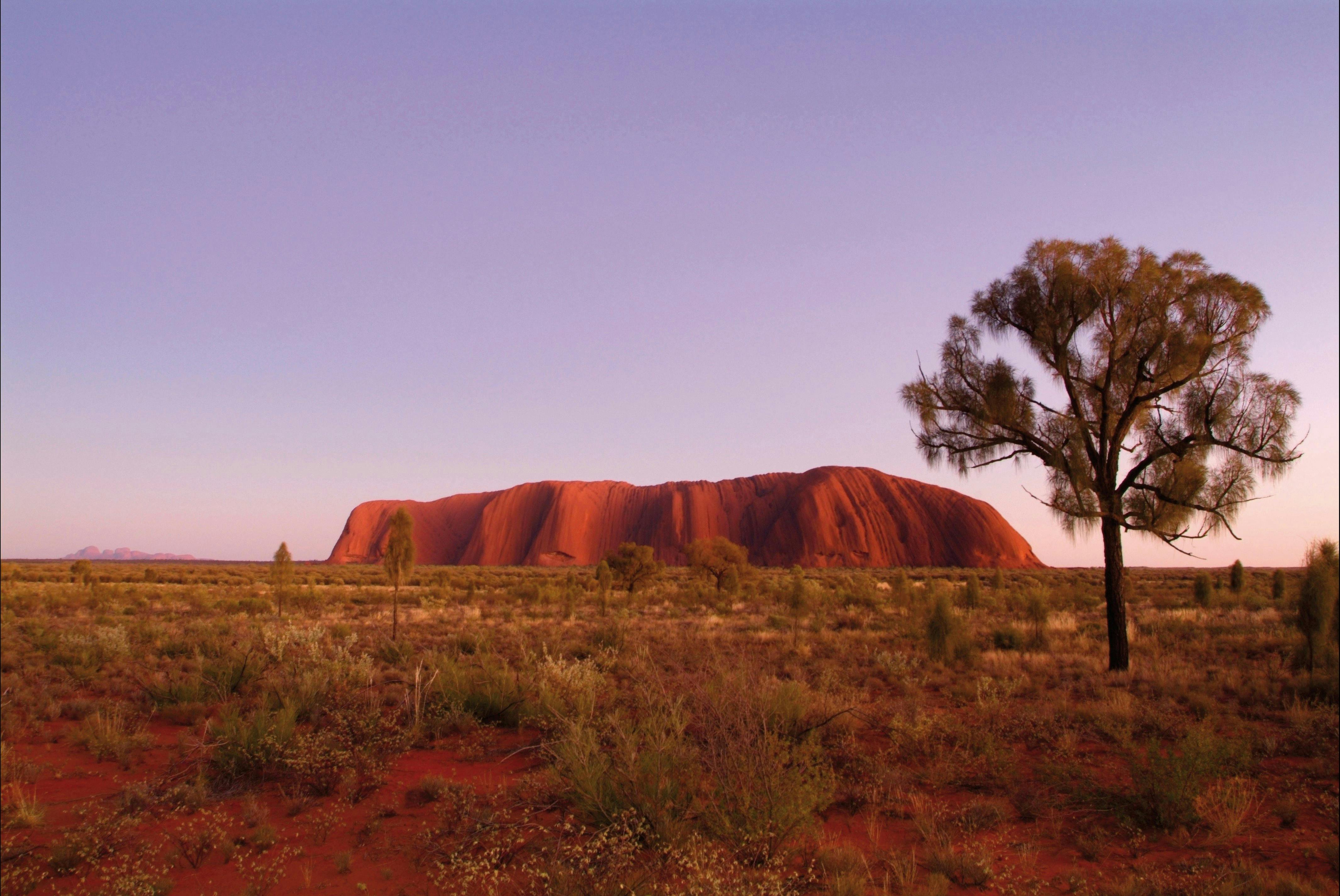 Sunrise Viewing Area Talinguṟu Nyakunytjaku | Things to do in Uluru,Yulara