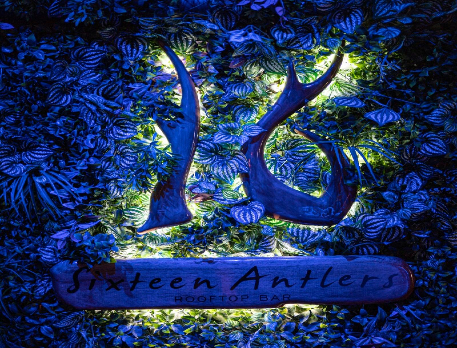 Sixteen Antlers Rooftop Bar