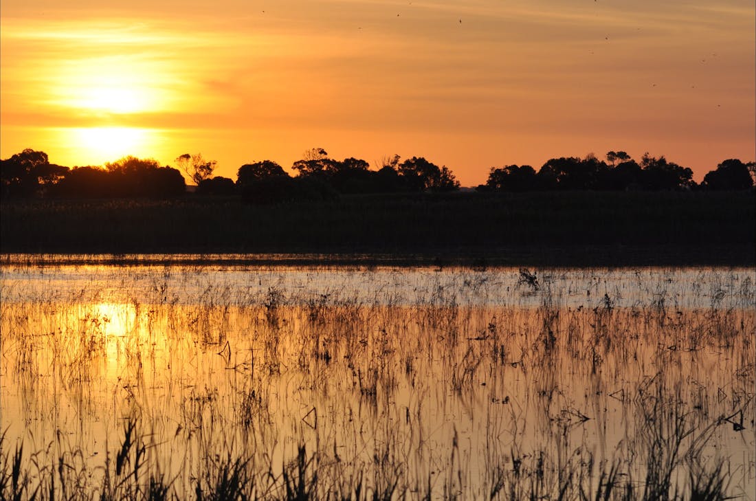 Bool Lagoon Game Reserve and Hacks Lagoon Conservation Park - Nar...