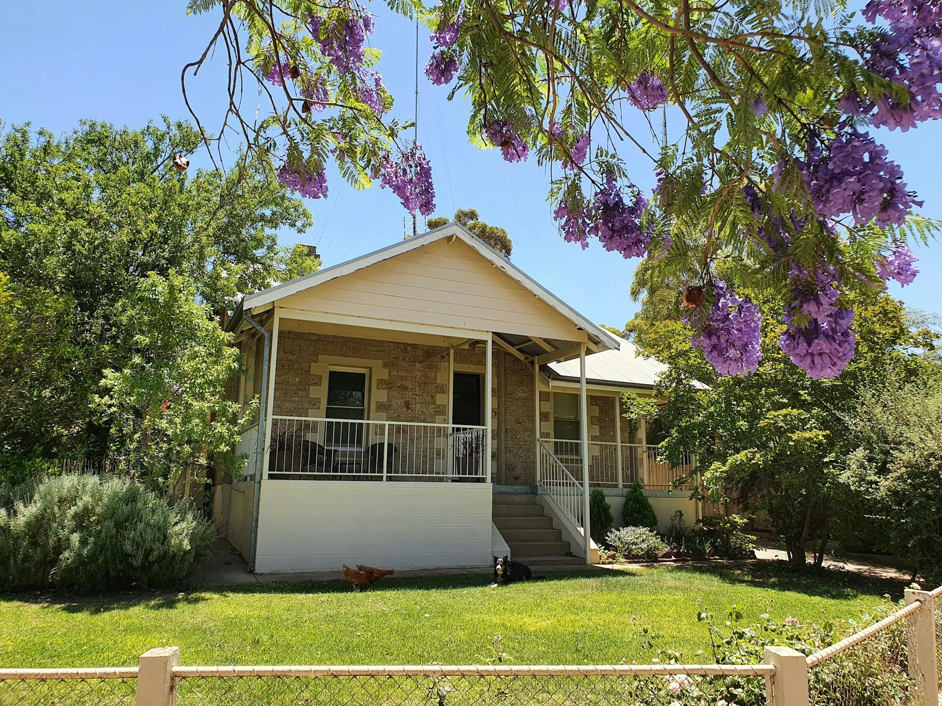 Dot's House in Berri - The Fold: Your Guide to Everything Regional ...