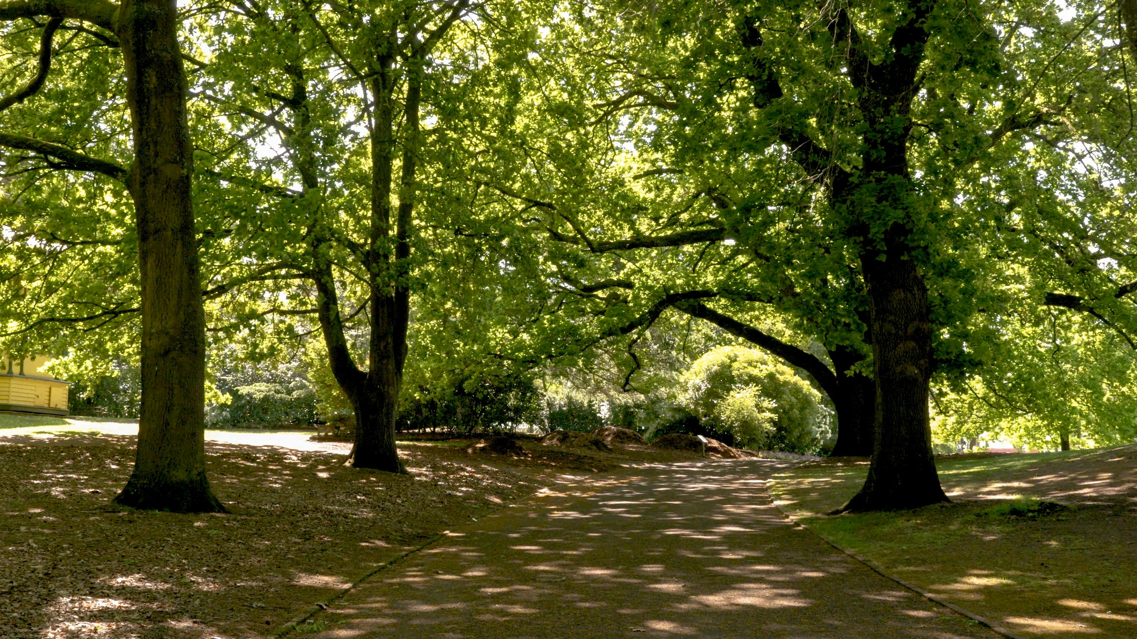 Hamilton Botanic Gardens in Hamilton - The Fold: Your Guide to ...