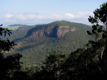 River Quay Fish | Food-and-drink | Queensland