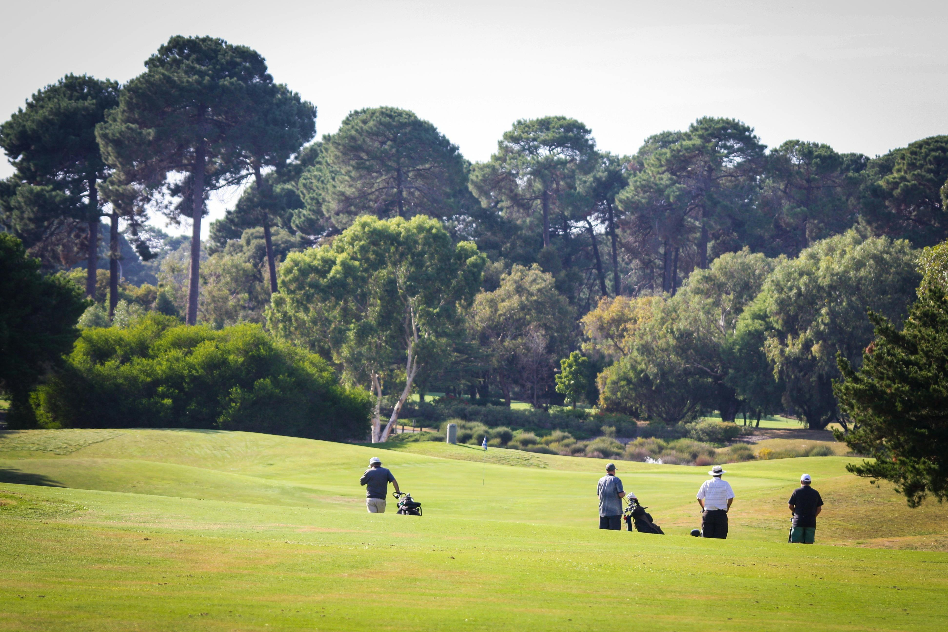 Collier Park Golf Course | Book Direct and Save