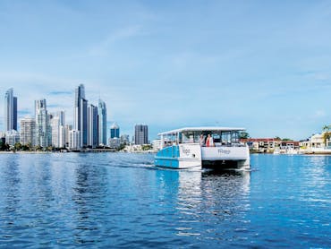 Iplay Adventure Coomera | Attractions | Queensland