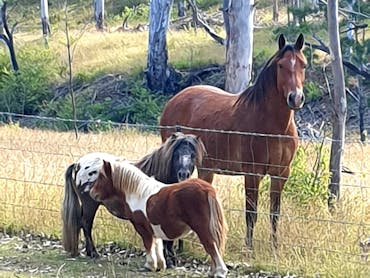 Queensland Farm Stays and Country Accommodation | Queensland