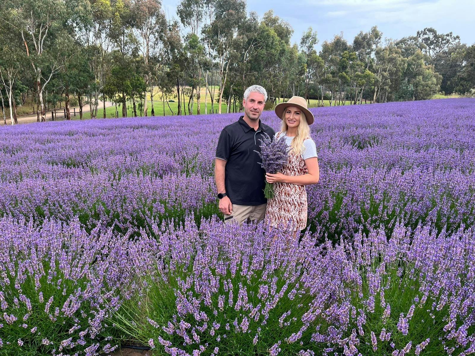 Hahndorf Lavender Estate Farm - Paechtown, Attraction | South Aus...