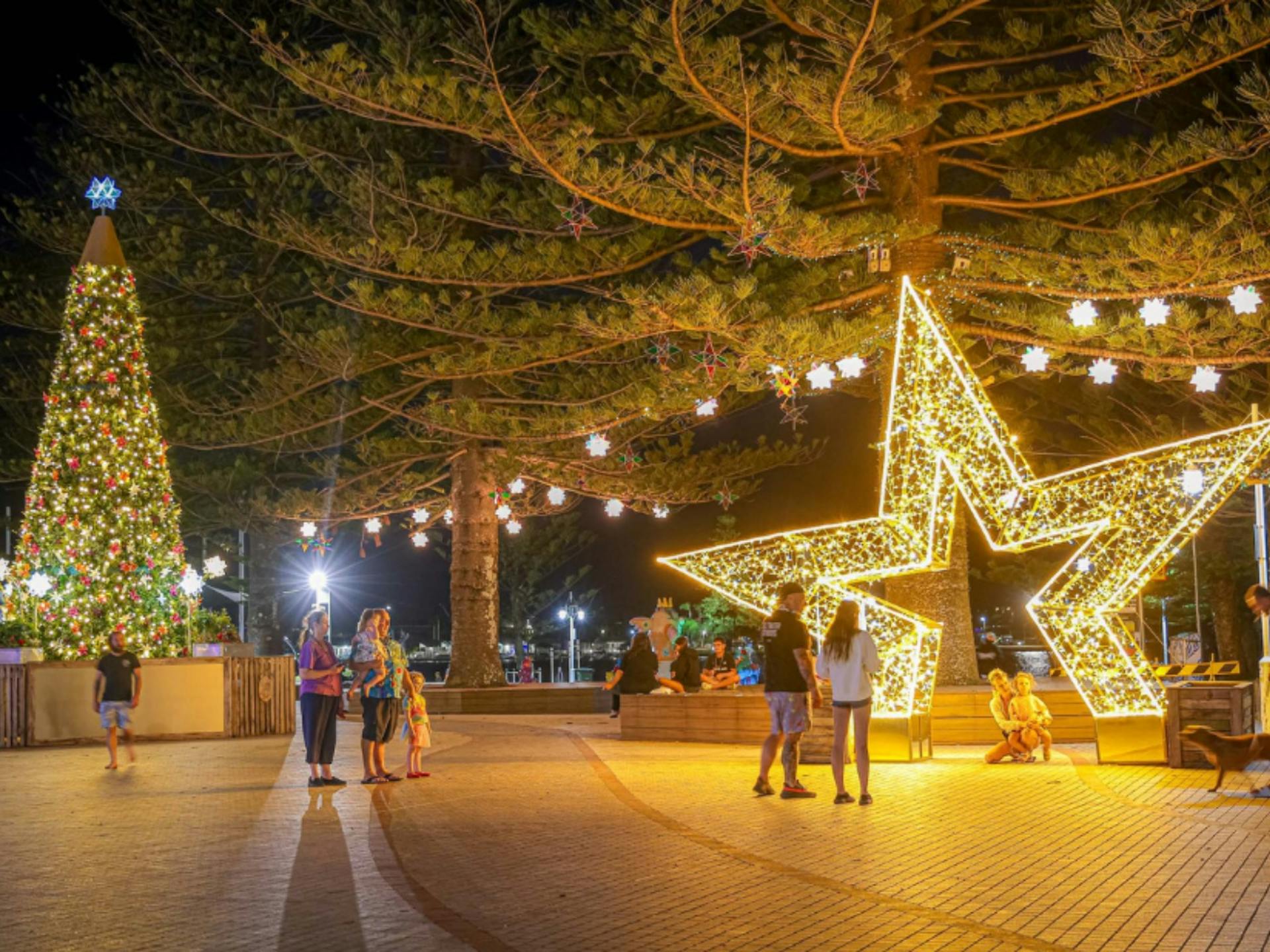 Christmas on the Central Coast in Toukley - The Fold: Your Guide to ...