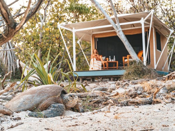 Wilson Island | Destination-information | Queensland