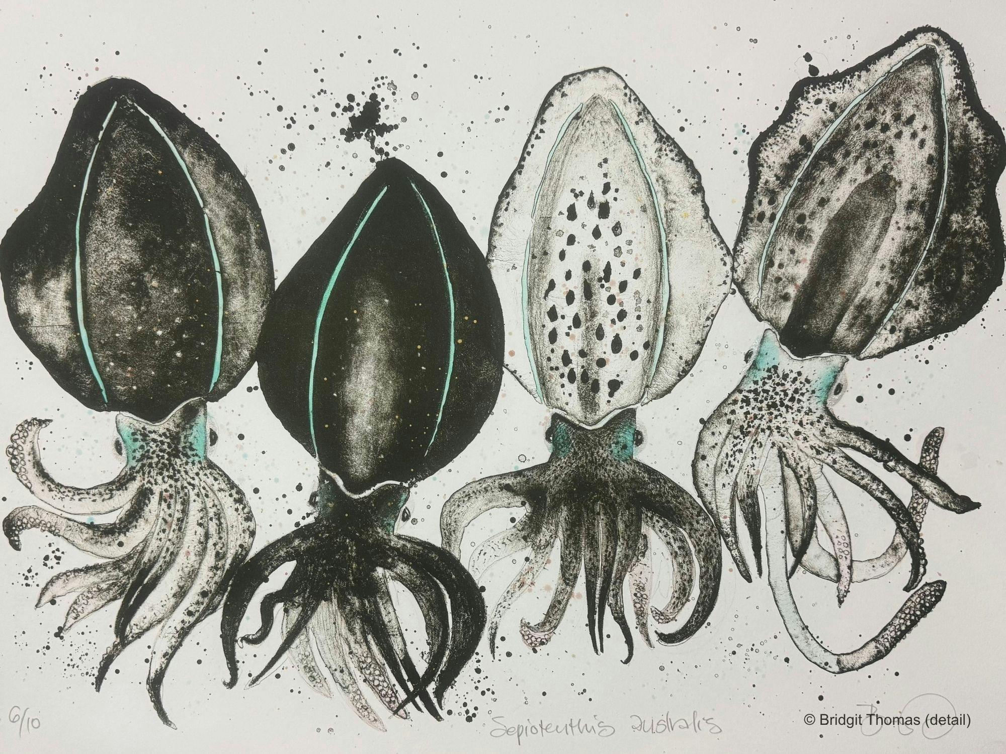 Experience Adelaide | 2026 Waterhouse Natural Science Art Prize…