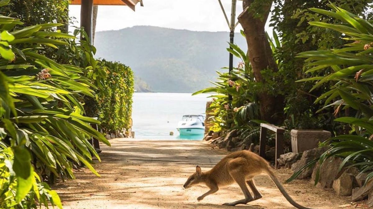 Palm Bay Resort | Accommodation | Queensland