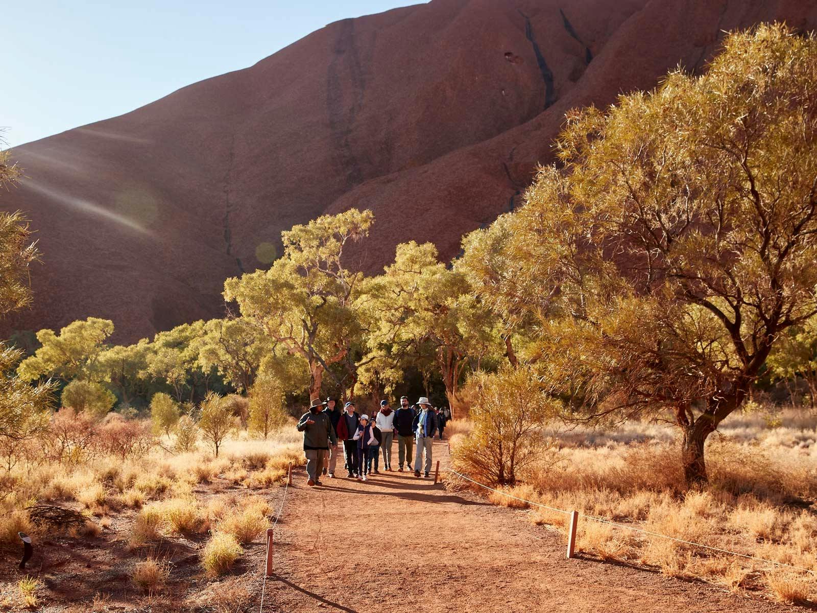 Ranger-guided Mala walk | Things to do in Uluru,Yulara
