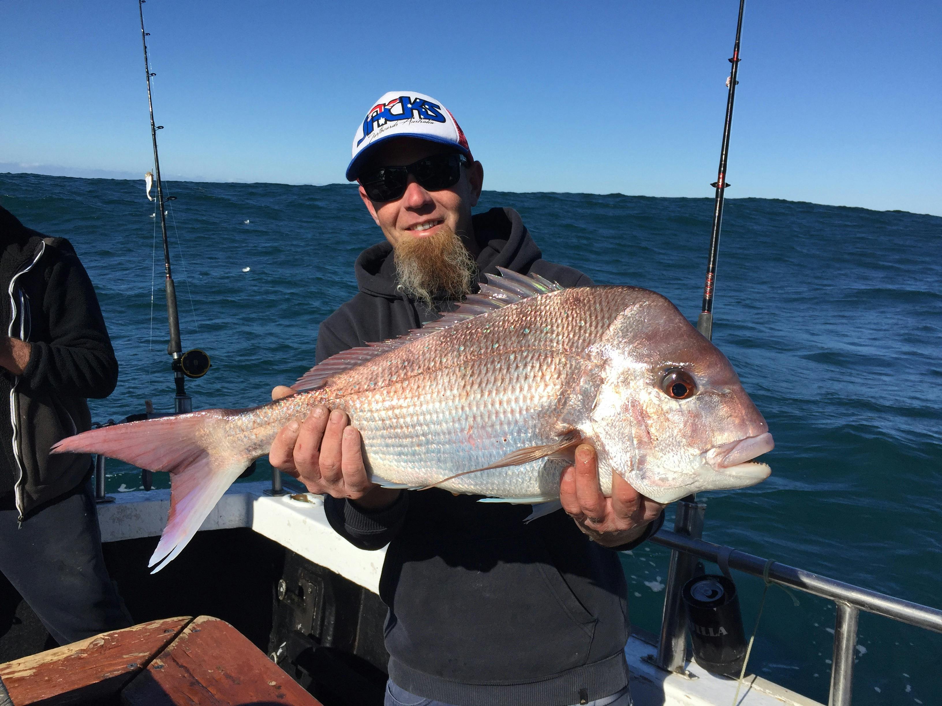 Aquilla Fishing Charters | NSW Holidays & Accommodation, Things to Do ...