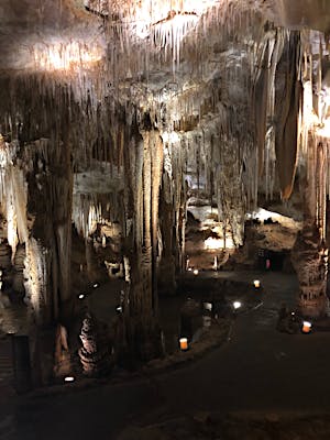 Tantanoola Caves - Tantanoola, Attraction | South Australia