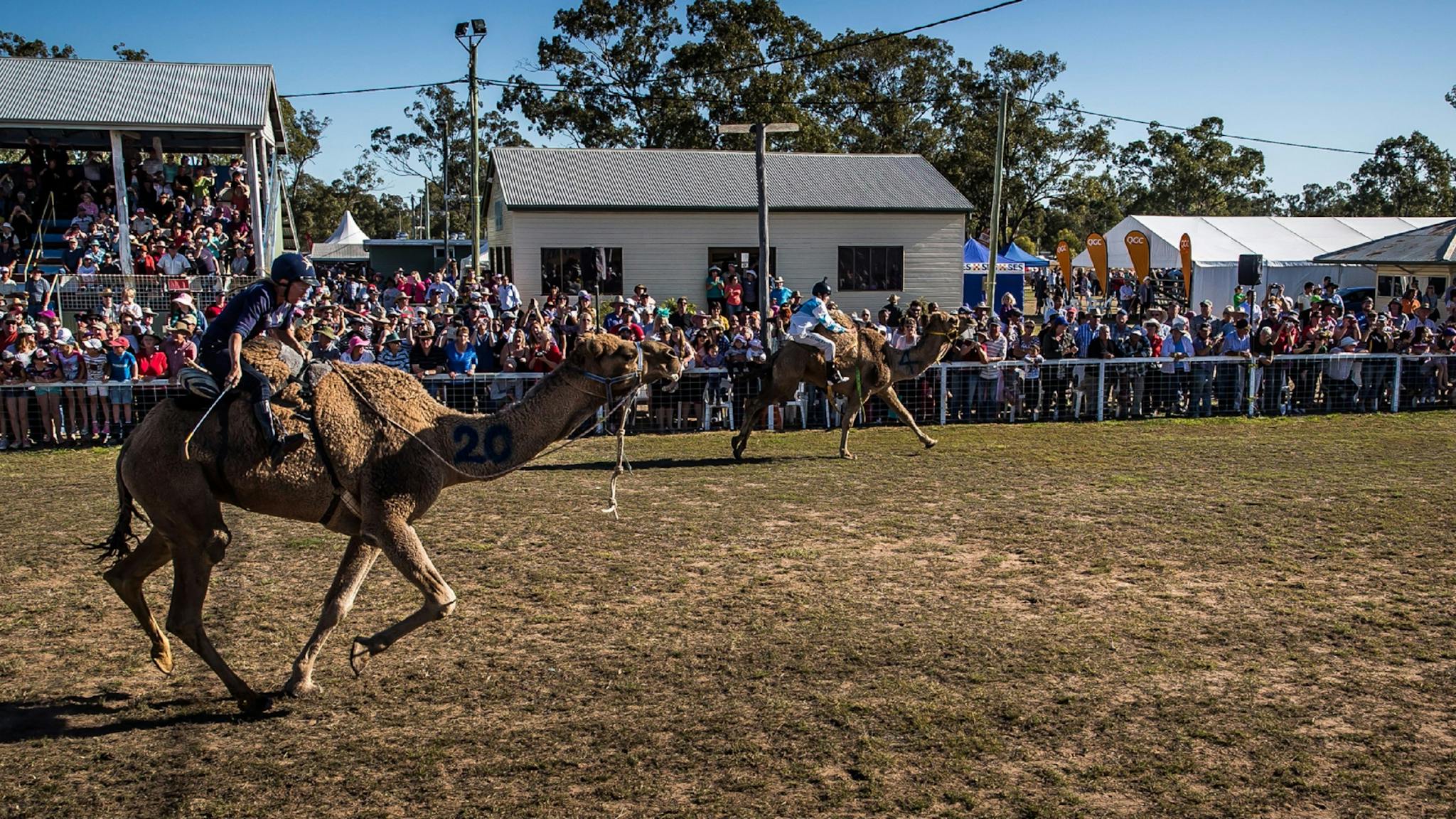 Tara | Destination-information | Queensland