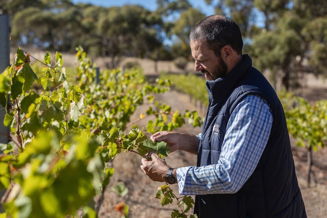 Sussex Squire Wines Red Wine Experience Clare Valley, Tour Servic...