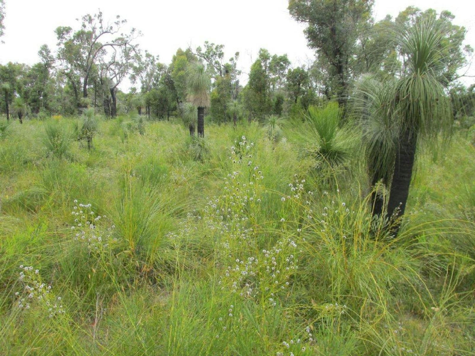 Ambergate Reserve | Book Direct and Save