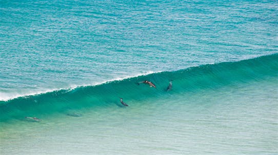 Ethel Beach - Inneston, Attraction | South Australia