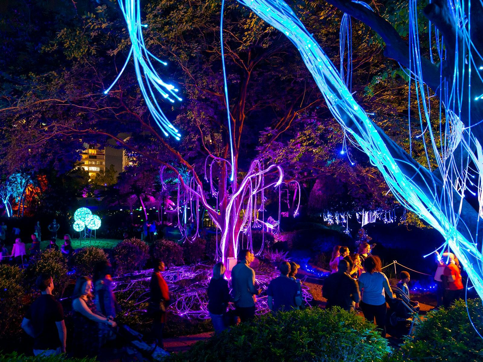 The Enchanted Garden