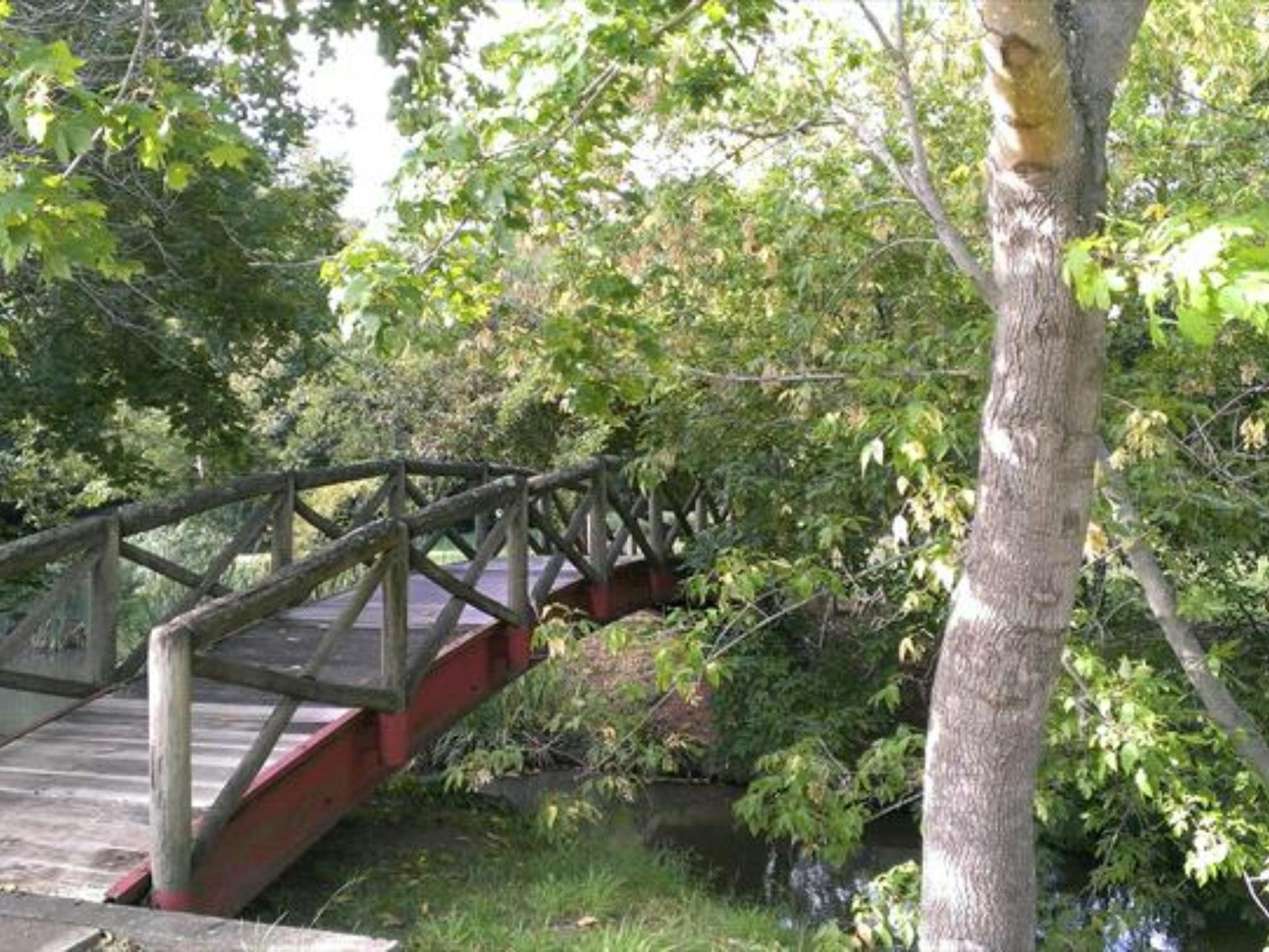 The Best of Bowral and The Bong Bong Track in Bowral - The Fold: Your ...