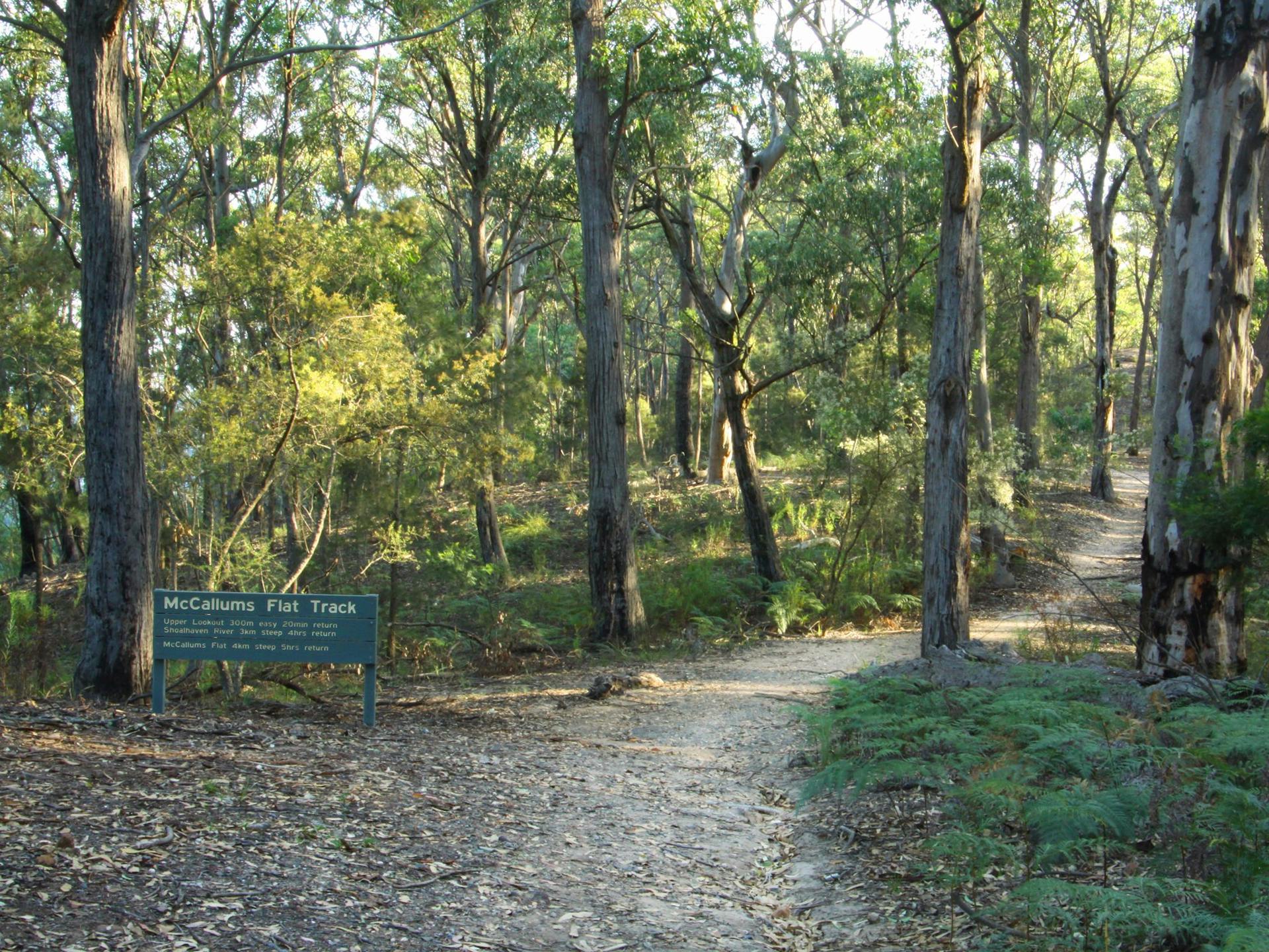 Long Point Lookout in Tallong - The Fold: Your Guide to Everything ...