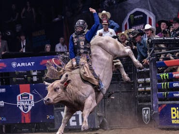 Torian Pro in Brisbane | Queensland