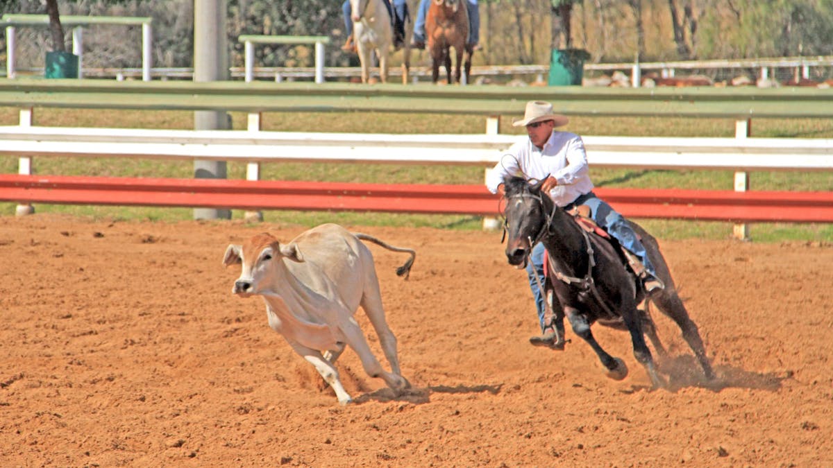 Gracemere | Destination-information | Queensland
