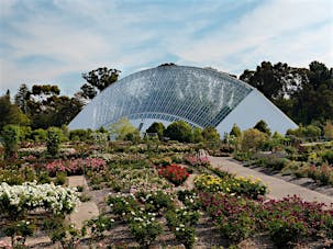 Adelaide Botanic Garden - Adelaide, Attraction | South Australia