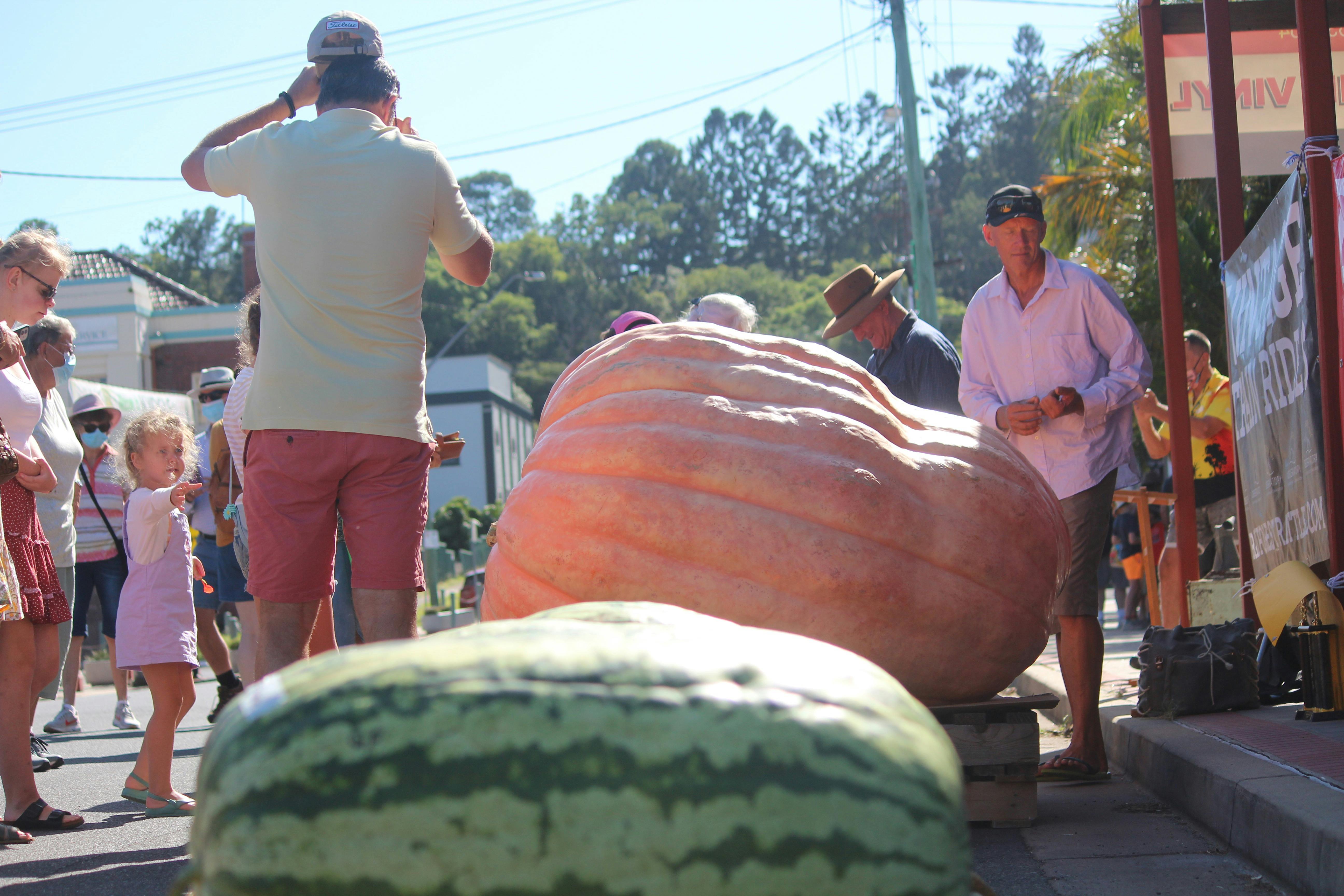 Border loop lookout | NSW Holidays & Accommodation, Things to Do ...