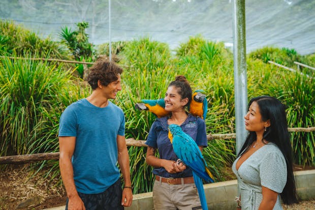 Visit Sunshine Coast