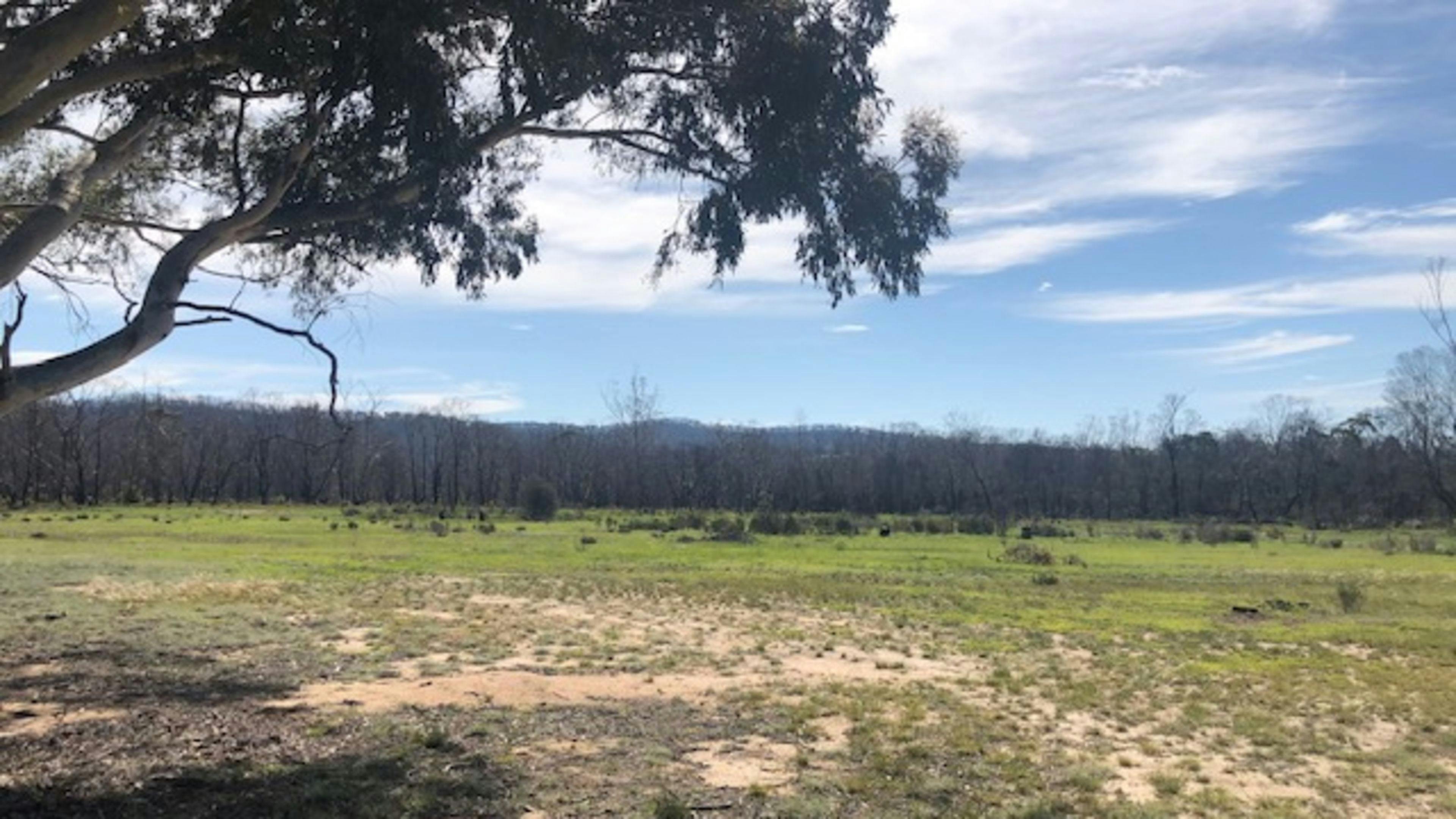 Anthan Farm | NSW Holidays & Accommodation, Things to Do, Attractions ...