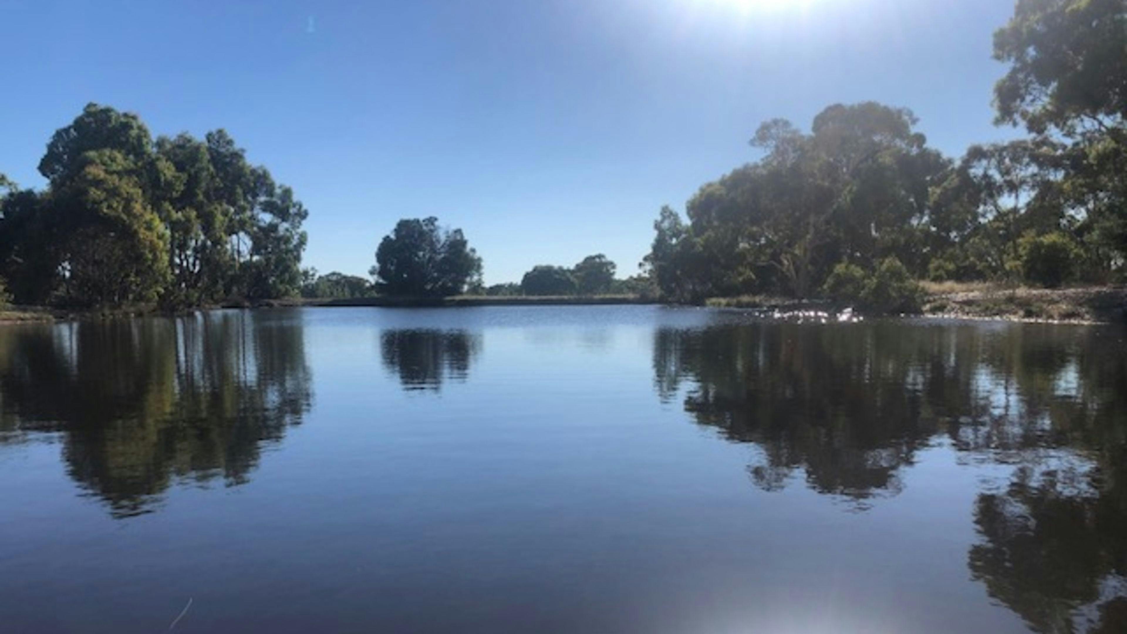 Anthan Farm | NSW Holidays & Accommodation, Things to Do, Attractions ...