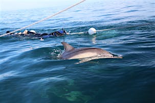 Temptation Sailing - Adelaide, Tour | South Australia