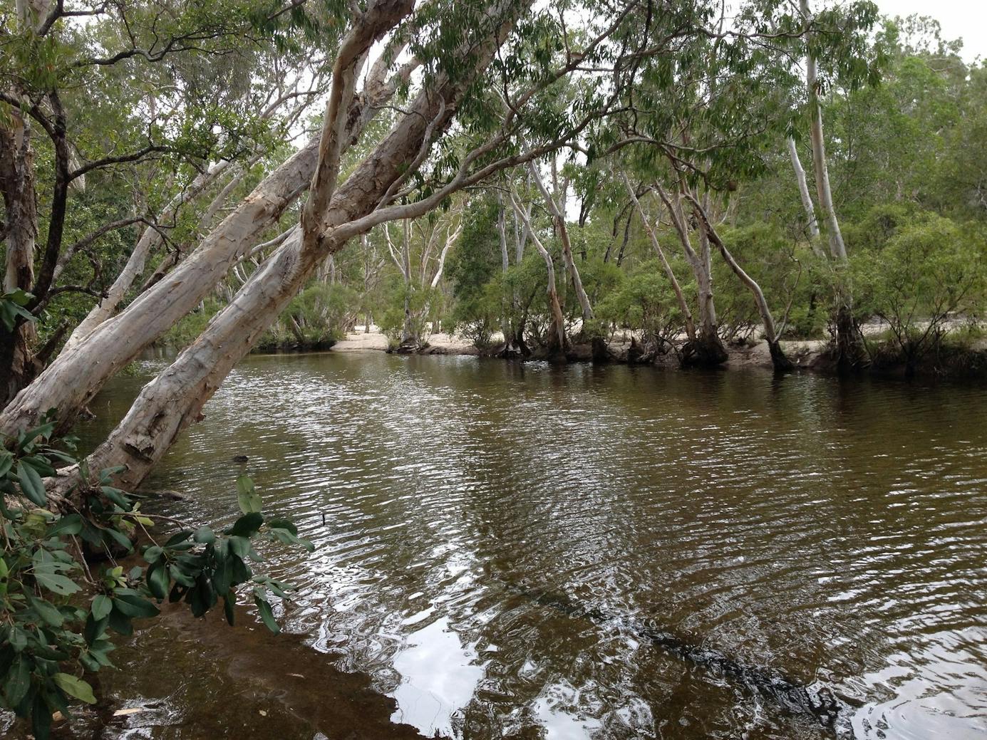 Coen | Cairns & Great Barrier Reef