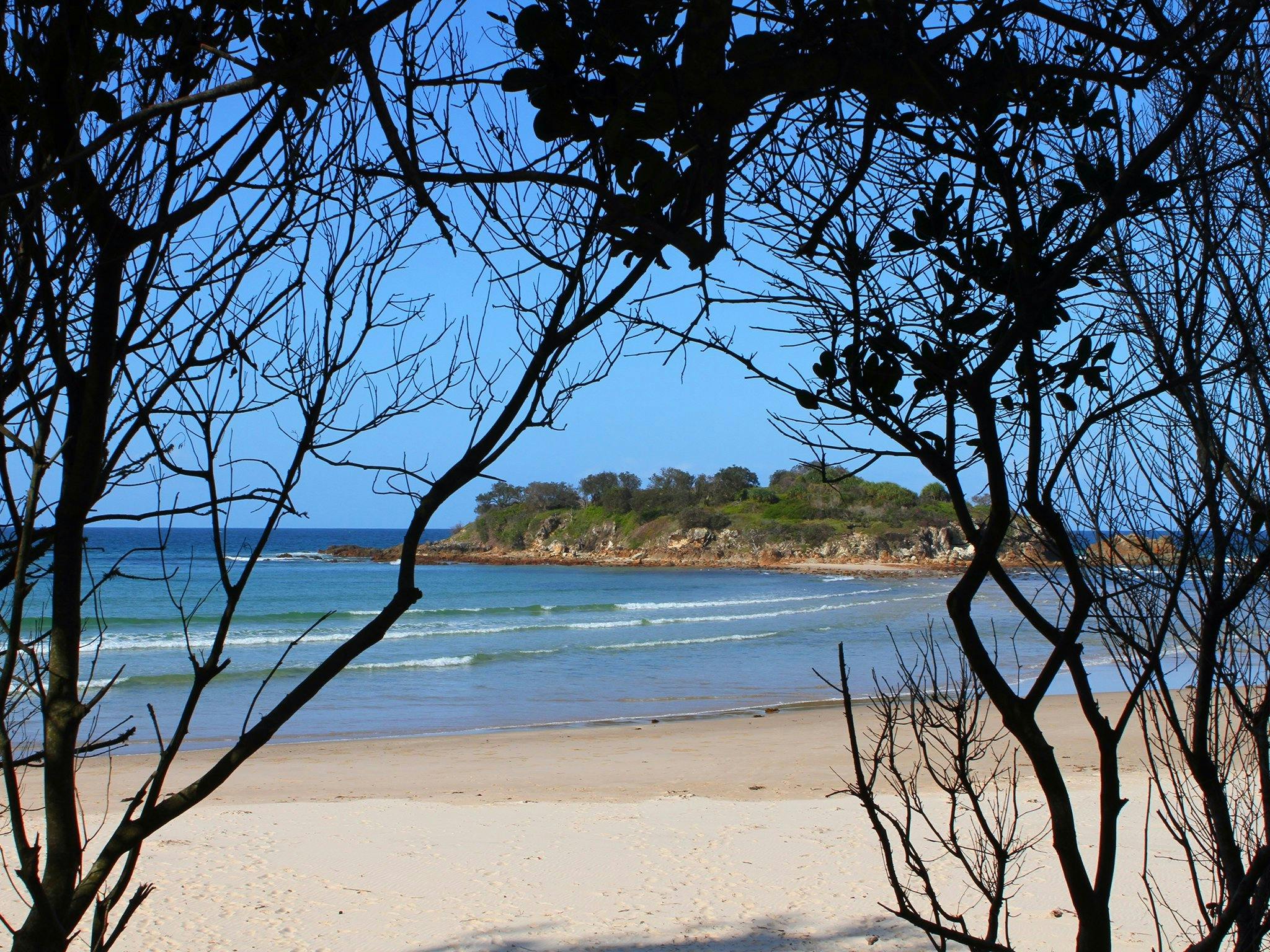 Sandon Beach | NSW Holidays & Accommodation, Things to Do, Attractions ...