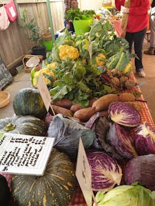 What’s On - Dungog Visitor Centre