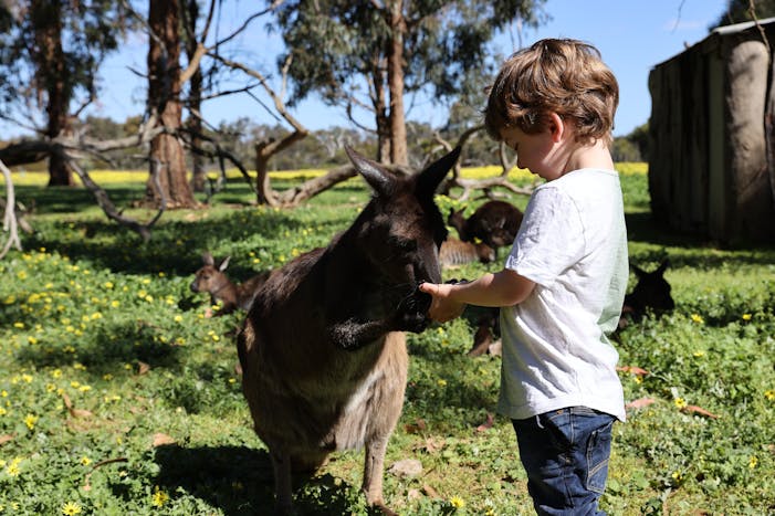 Raptor Domain • Kangaroo Island, South Australia