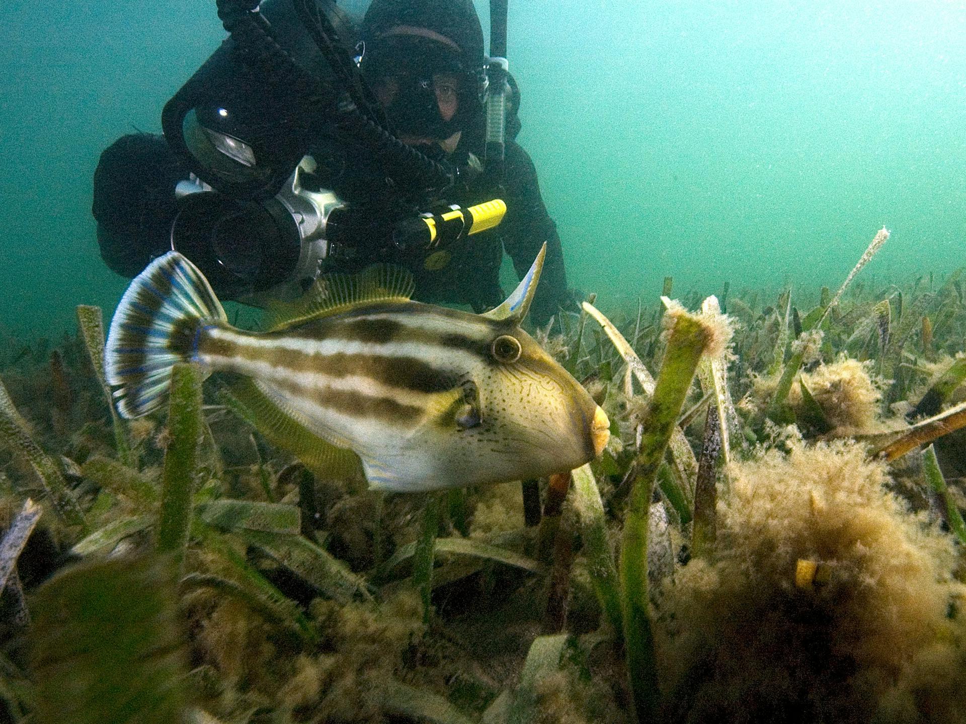 Corner Inlet Marine National Park in Yanakie - The Fold: Your Guide to ...