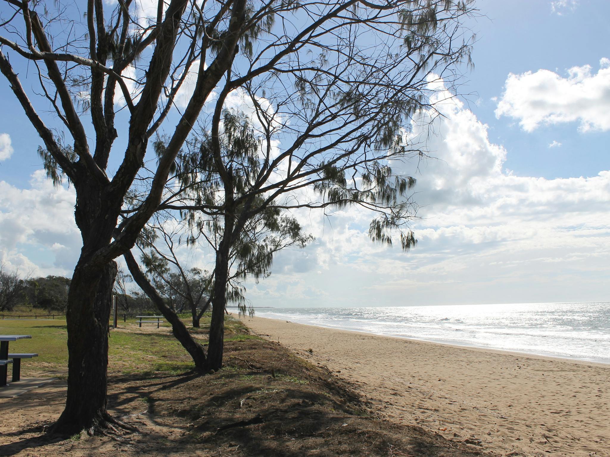 Coral Coast Pathways Moore Park Beach Section | Journeys | Queensland