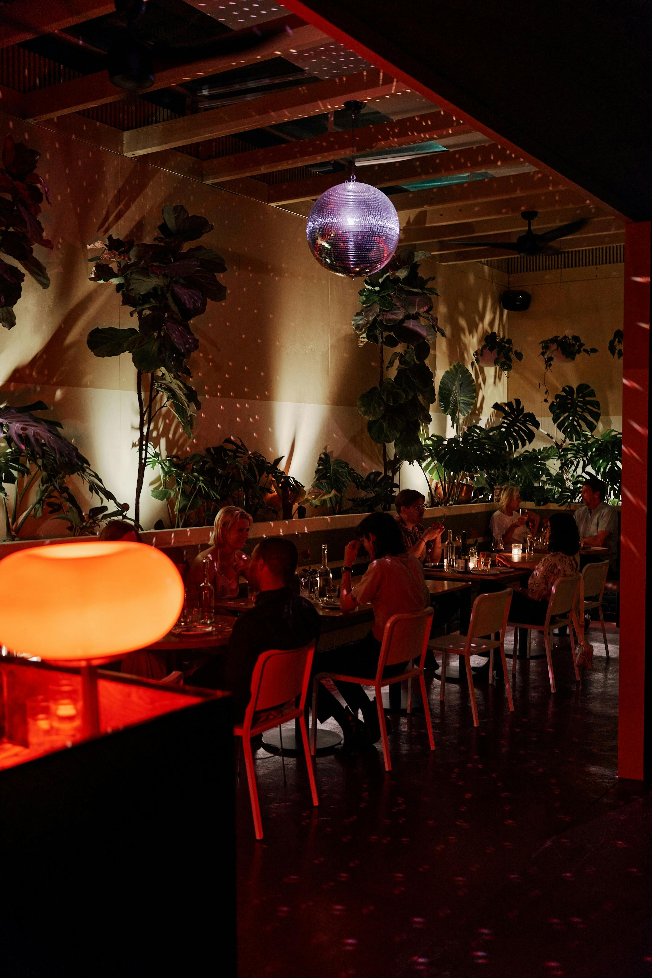 Experience Adelaide | Pastel Wine Bar