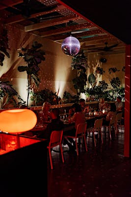 Pastel Wine Bar - Adelaide, Food and Drink | South Australia