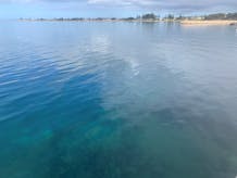 Oyster Bay - Stansbury - Stansbury, Attraction | South Australia