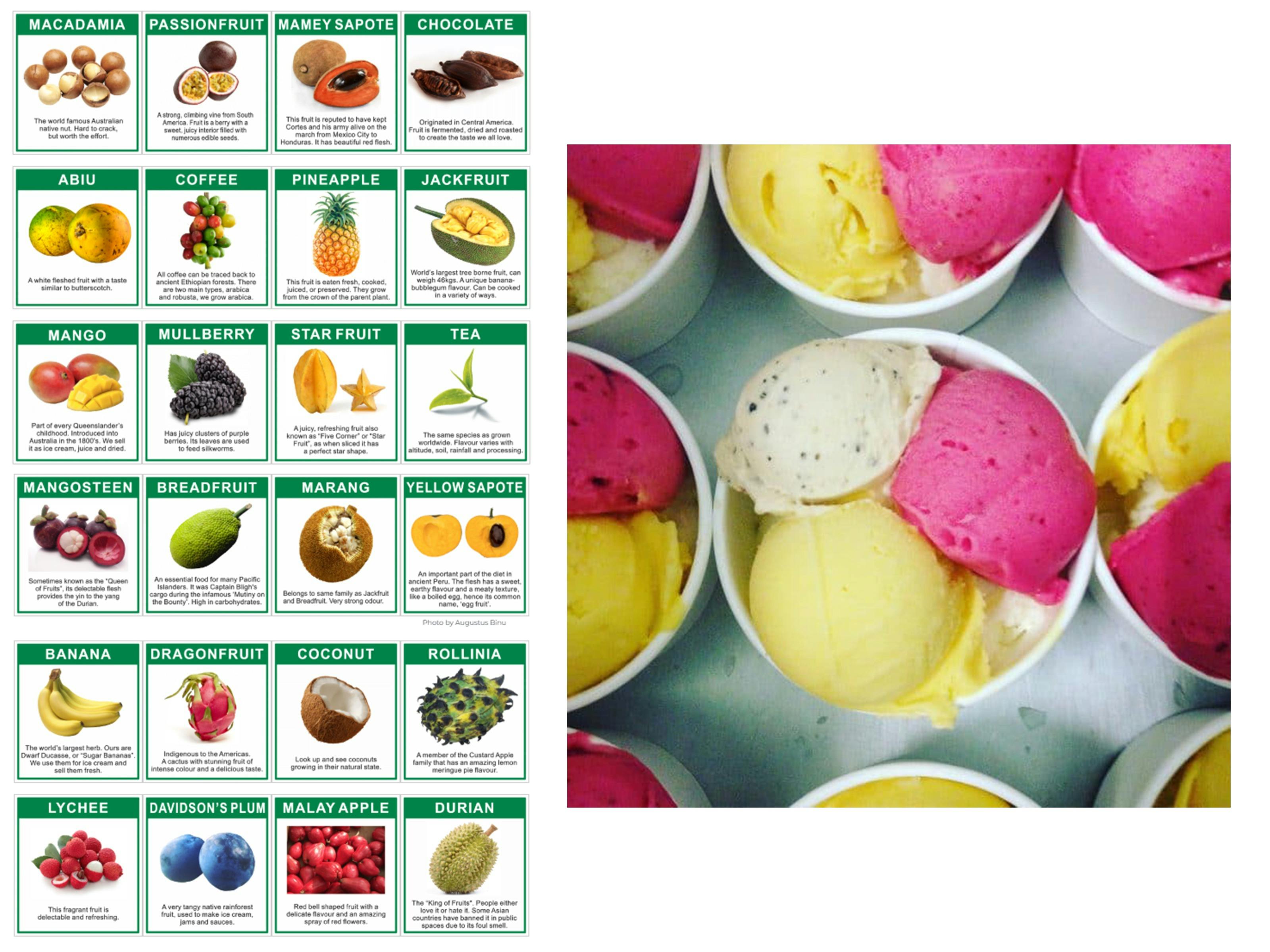 Billy Tea Safaris | Cairns & Great Barrier Reef