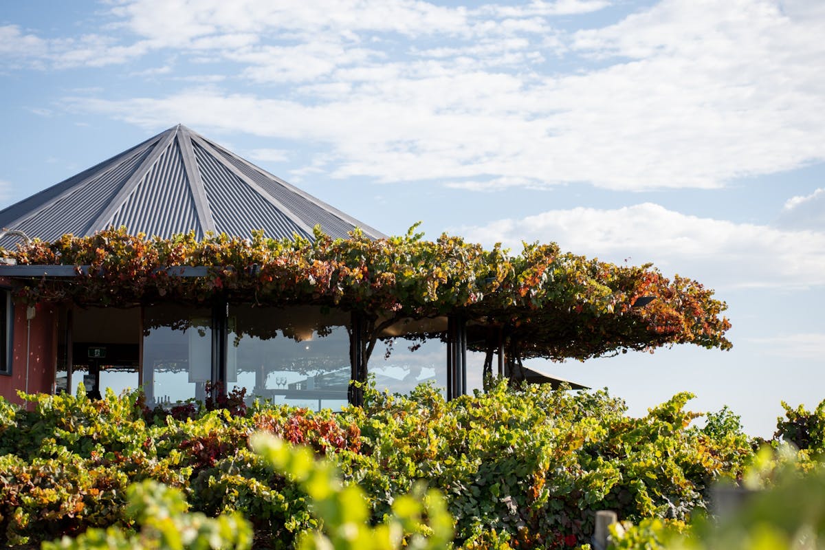 Hugh Hamilton Wines | Food and Drink in McLaren Vale