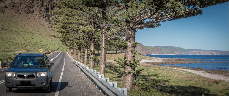 Lady Bay Beach - Wirrina Cove, Attraction | South Australia