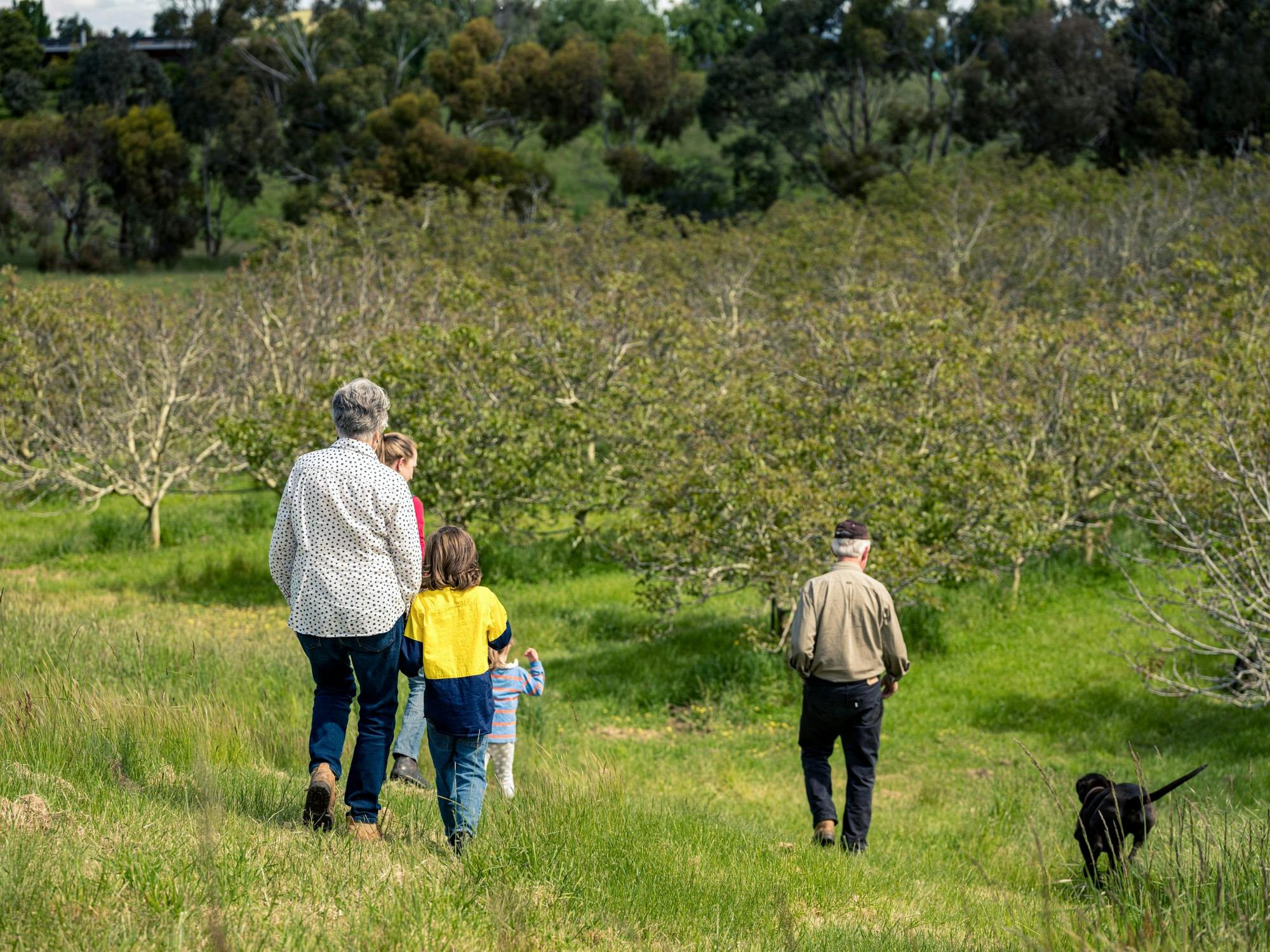 Coaldale Walnuts farm tour | Tour | Discover Tasmania
