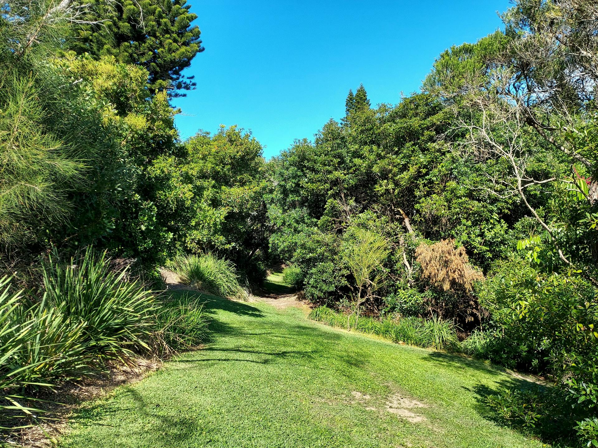Arcadia Park in Newcastle - The Fold: Your Guide to Everything Regional ...